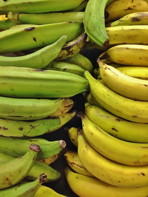 Au cœur de la banane plantain - La Banane