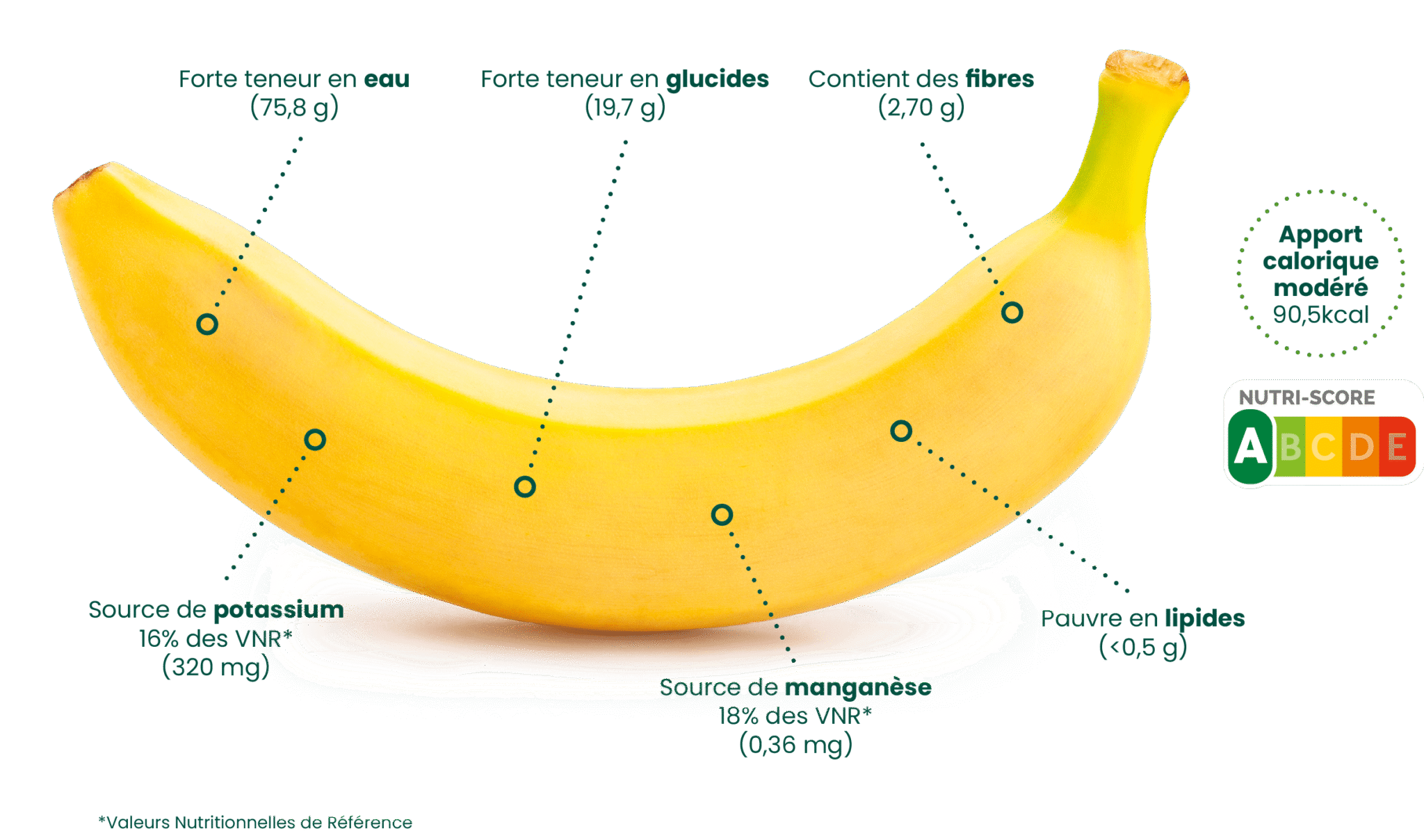 Les bienfaits de la banane - La Banane